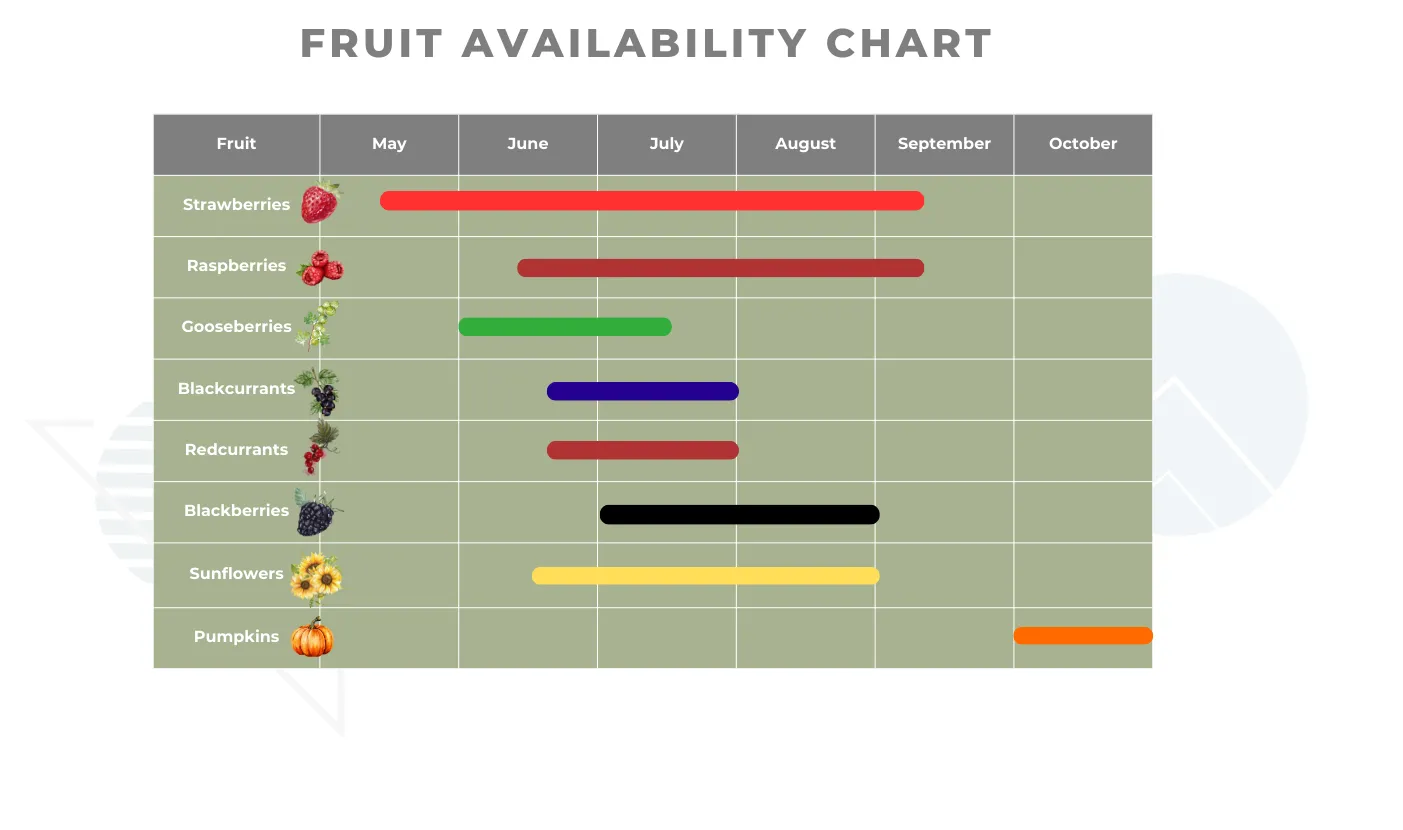 The Pick Your Own Experience | Manor Farm Fruits