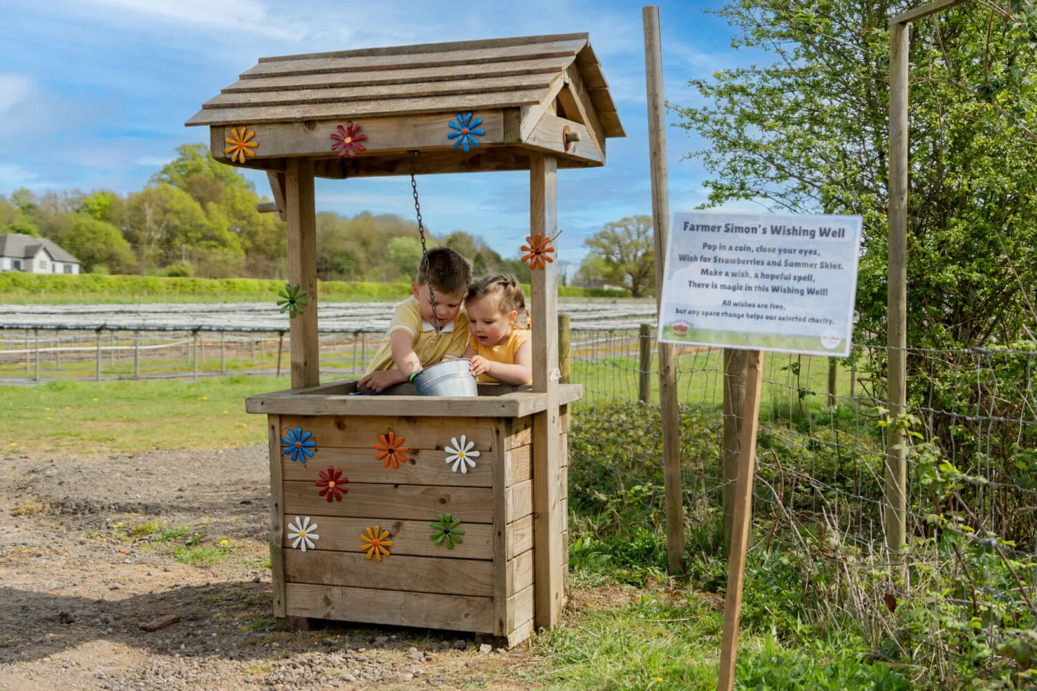 Gallery - Manor Farm Fruits