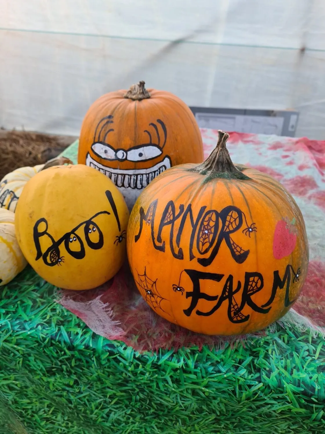 Gallery - Manor Farm Fruits