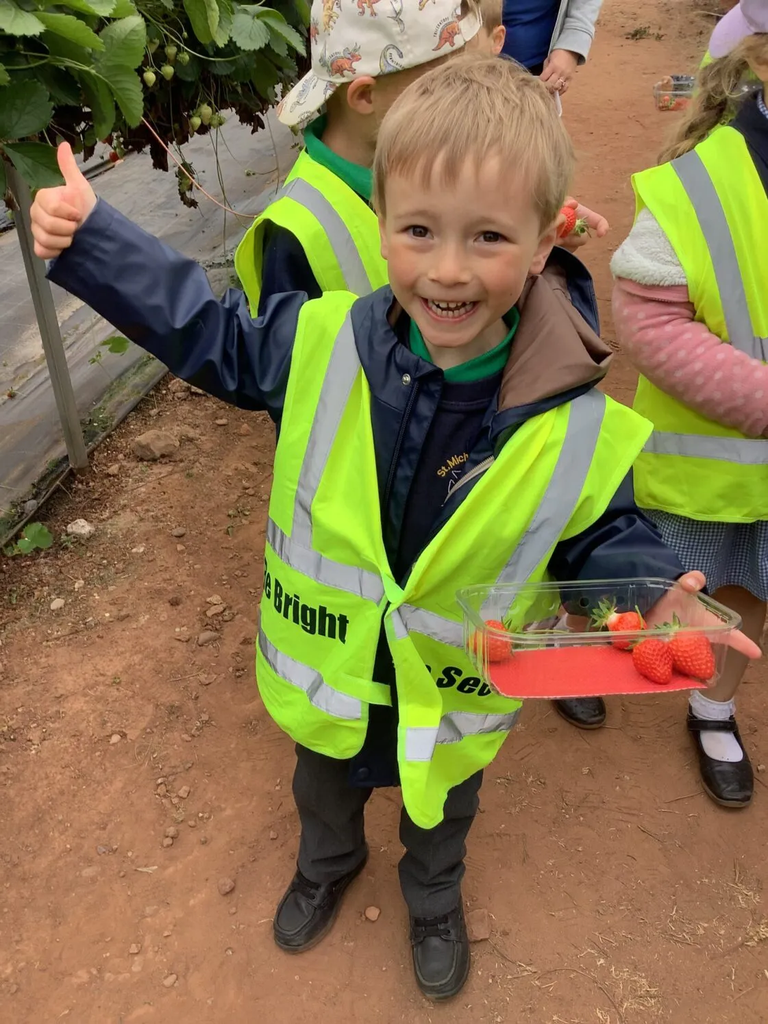 Gallery - Manor Farm Fruits
